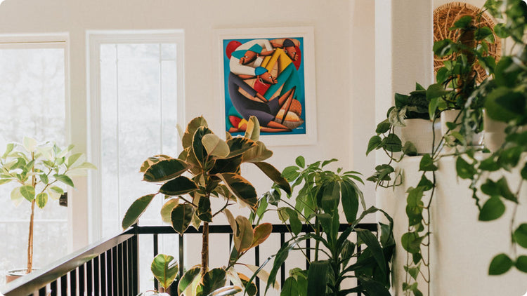 Types of Velvet Plant Varieties: The Complete Guide – Cafe Planta